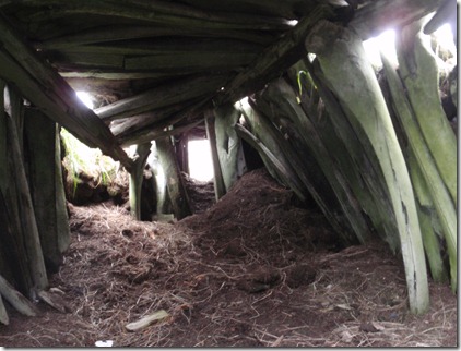 Fieldwork, Travel, and Food: A Whale Bone and Sod House